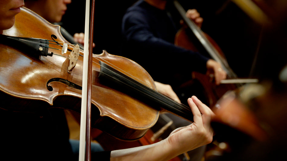 String Sample Library for Kontakt - String Swells PRO – Sonixinema